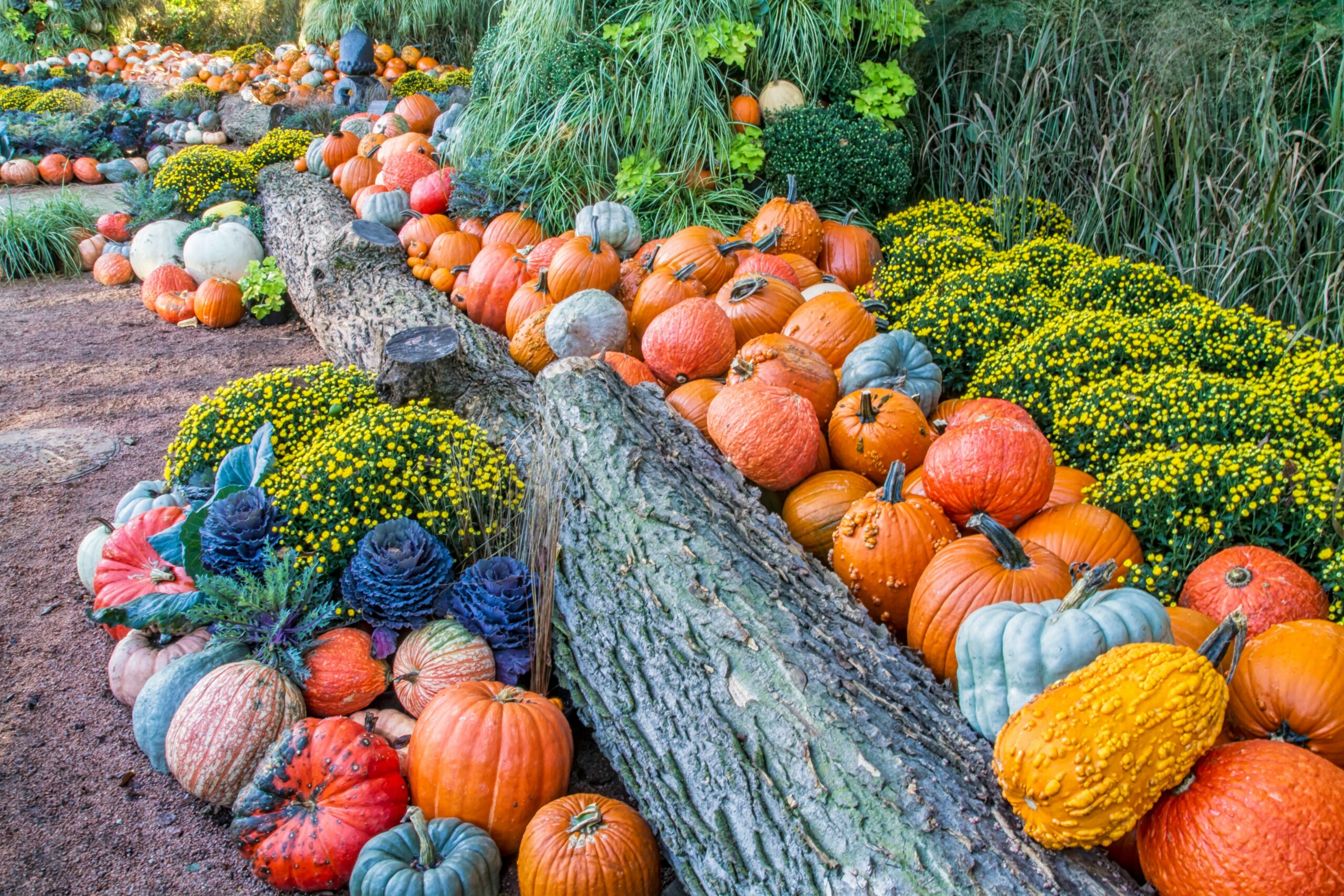 Fall Decor Ideas at The Sloan at LoSo | Cozy Apartment Living